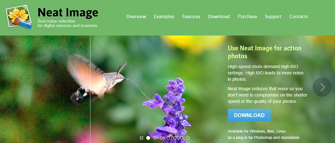 Neat Image Noise Reduction Software: Remove Photo Grain