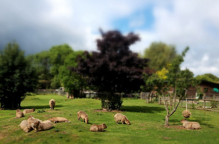 General photography with no plans, no structure, no agenda.