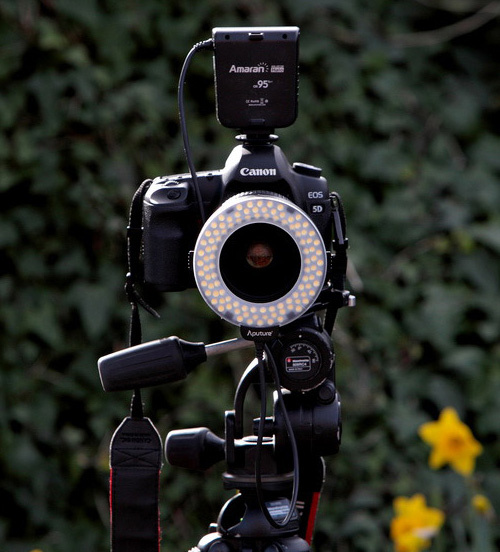 Aputure Amaran Halo AHL-H100 Ring Light for Cameras