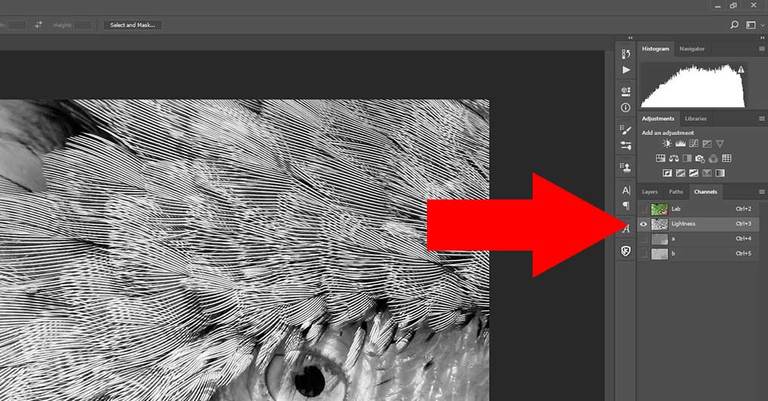 Photoshop Tips: How to Sharpen a Photo Correctly in Photoshop