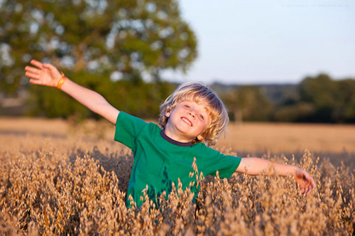 What Makes a Good Photo? How Can I Improve My Photography?