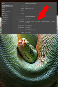 ISO Settings, Uses, Techniques and Advice For Your Digital Camera